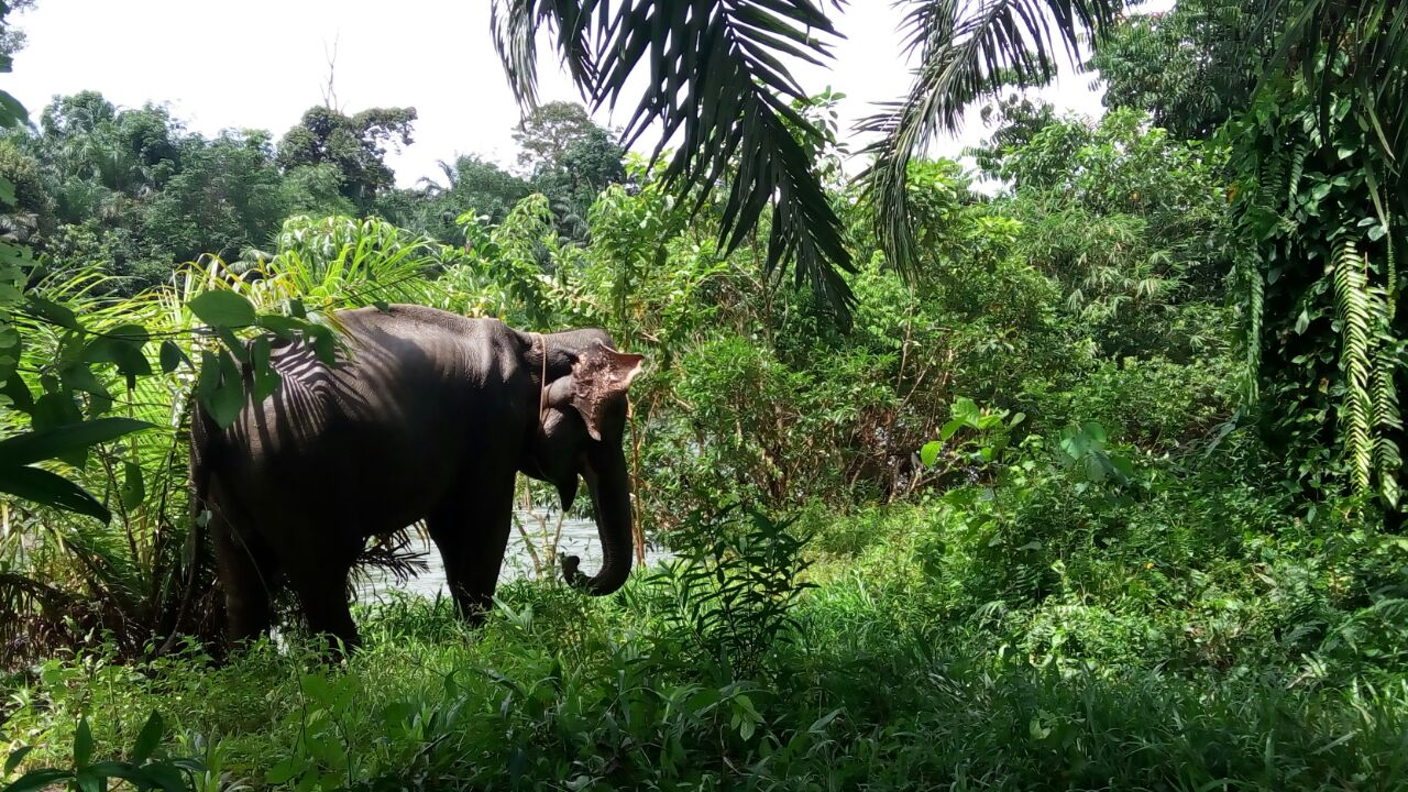 7 Wisata Alam di Medan Paling Indah!
