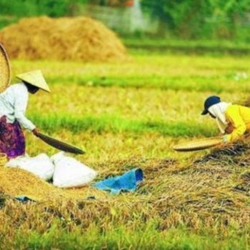 Mengenal Tari Sigale-gale, Pengiring Upacara Kematian di Samosir – Batakita